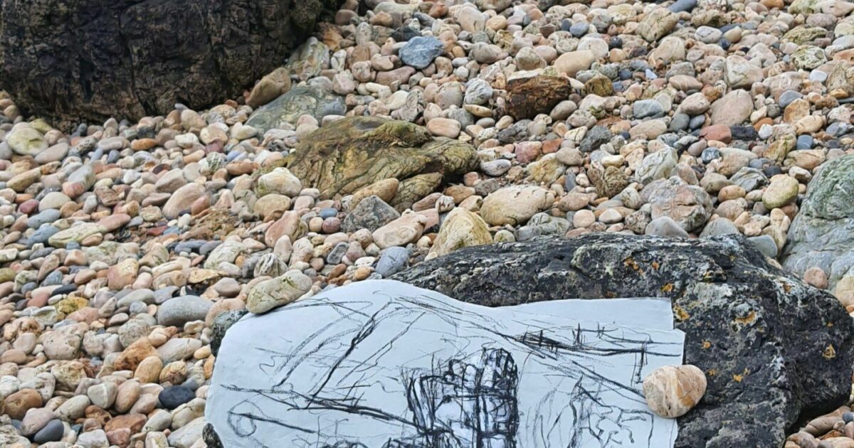 Walk and Draw with Deborah Dalton | Oriel Davies Gallery