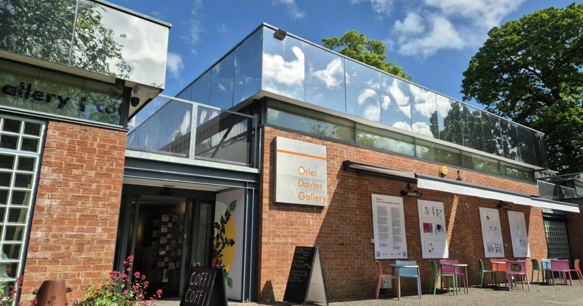 Relief Visitor Experience Assistant (Bank… | Oriel Davies Gallery
