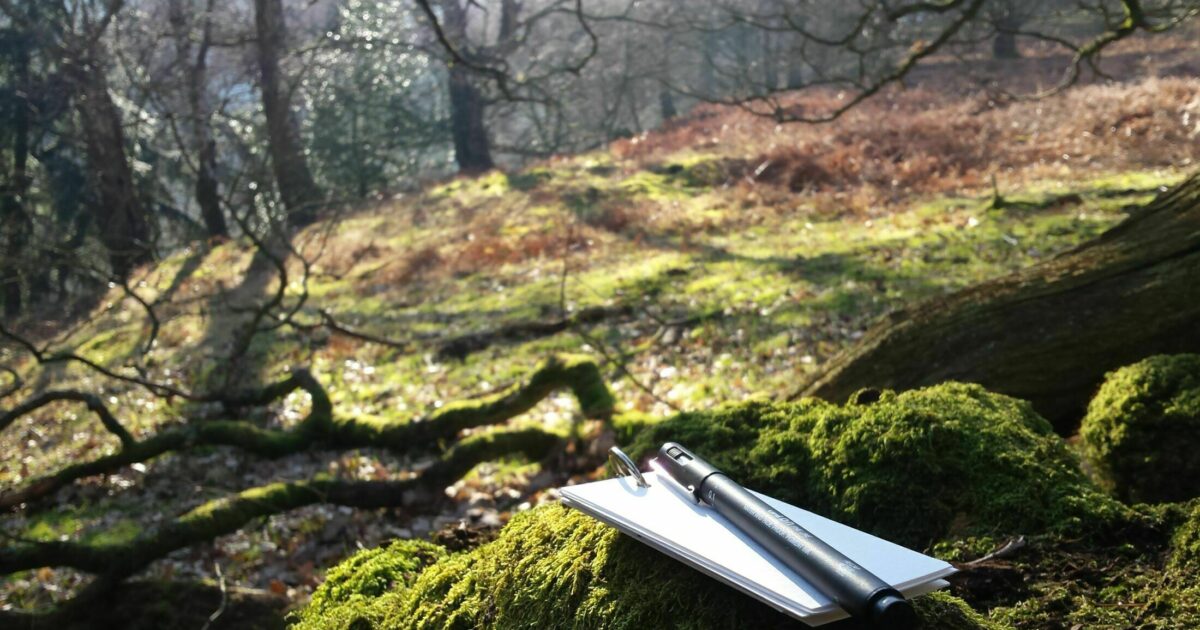 Draw & Explore | Oriel Davies Gallery