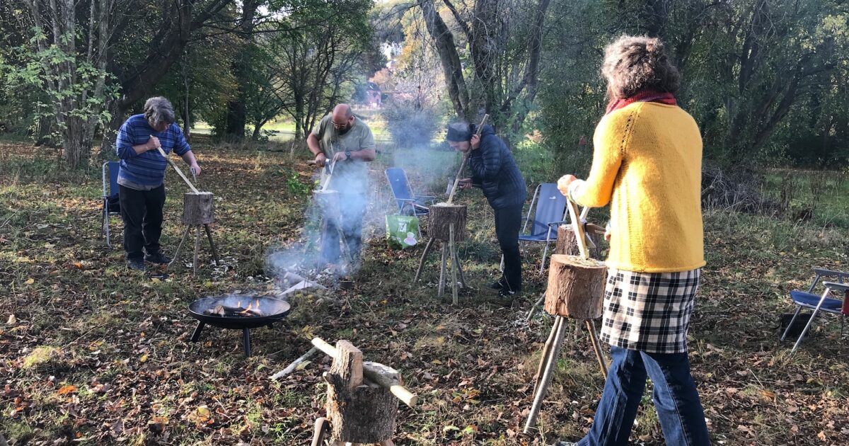 Nature based volunteering opportunity | Oriel Davies Gallery