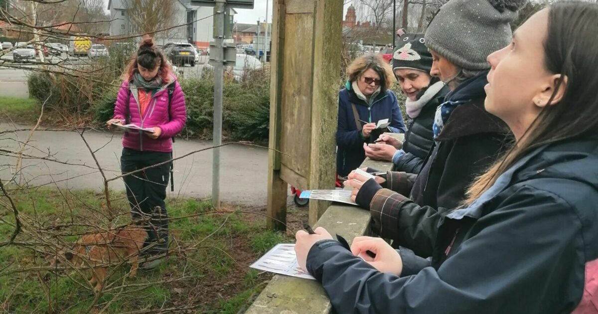 Guided Spring Walk and Draw 2 | Oriel Davies Gallery
