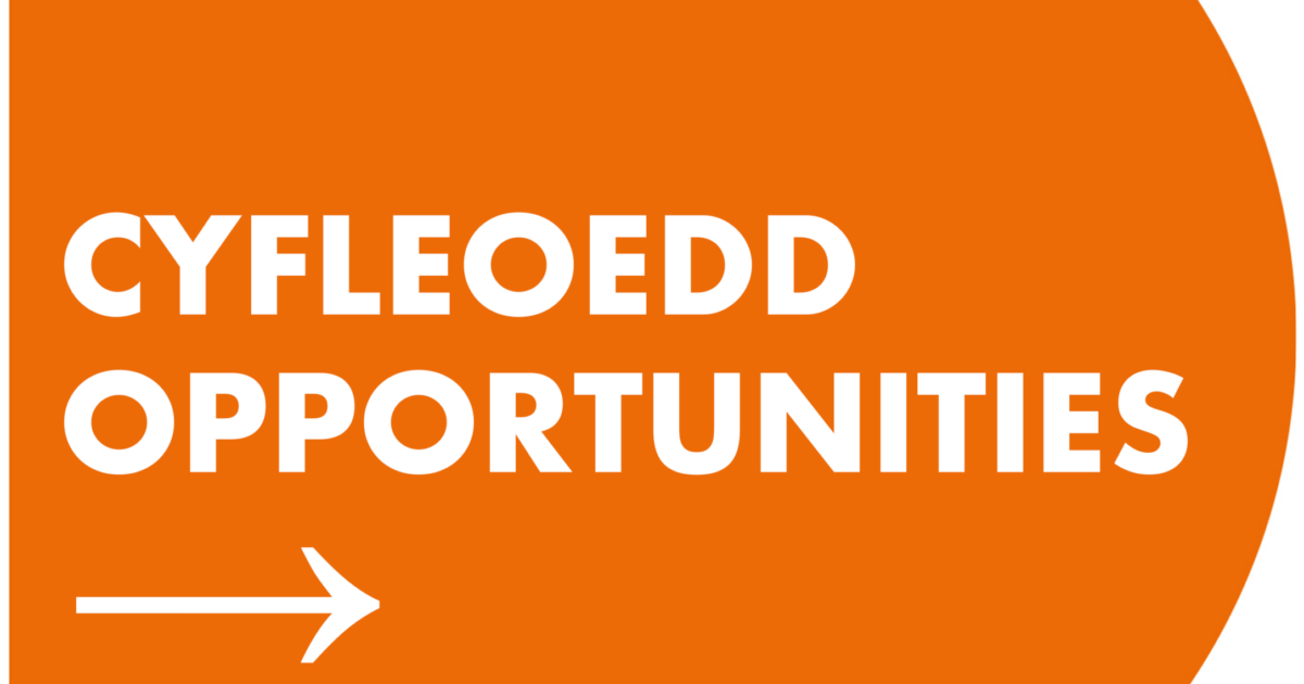 Opportunities | Oriel Davies Gallery