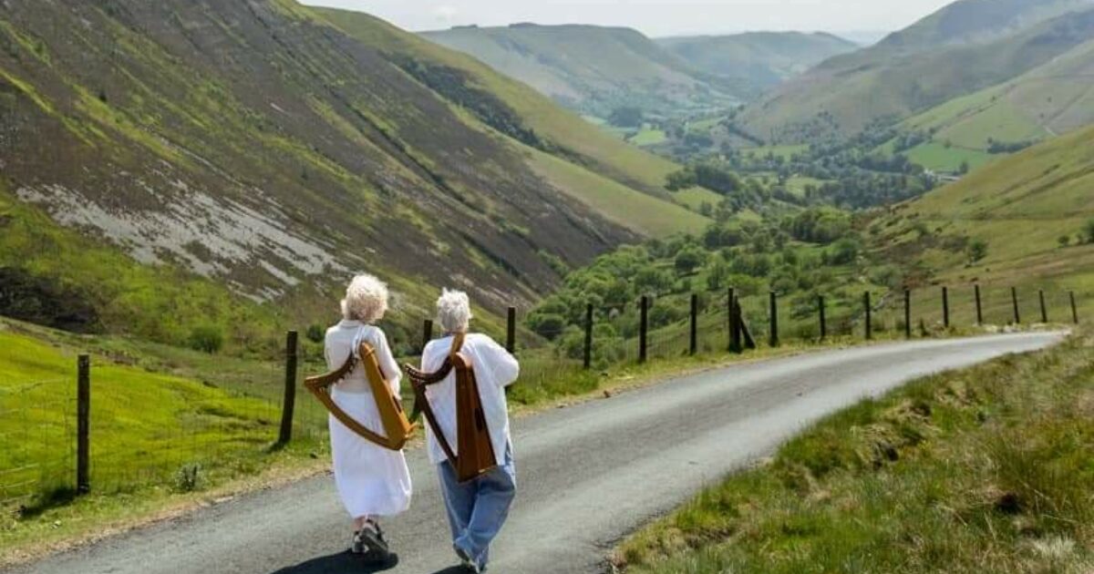 Telyn Tales | Oriel Davies Gallery