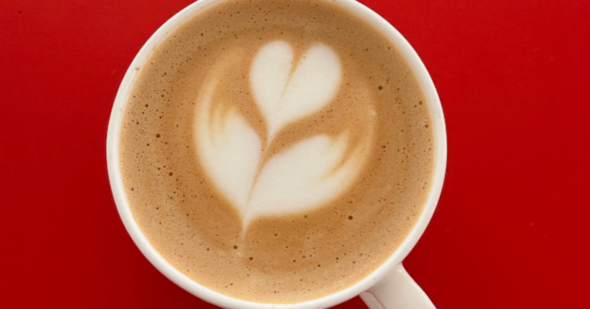 Caffi | Cafe | Oriel Davies Gallery