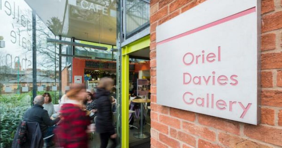 Access Rider | Oriel Davies Gallery