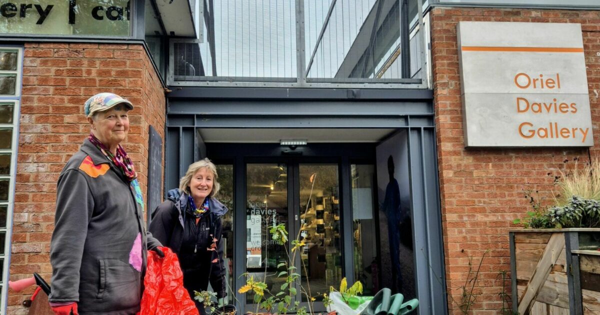 Tree planting at Oriel Davies | Oriel Davies Gallery