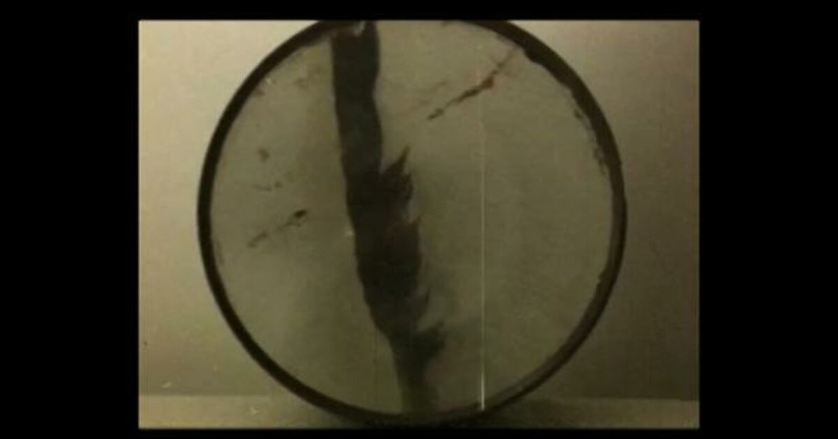 Lens and Feather | Oriel Davies Gallery