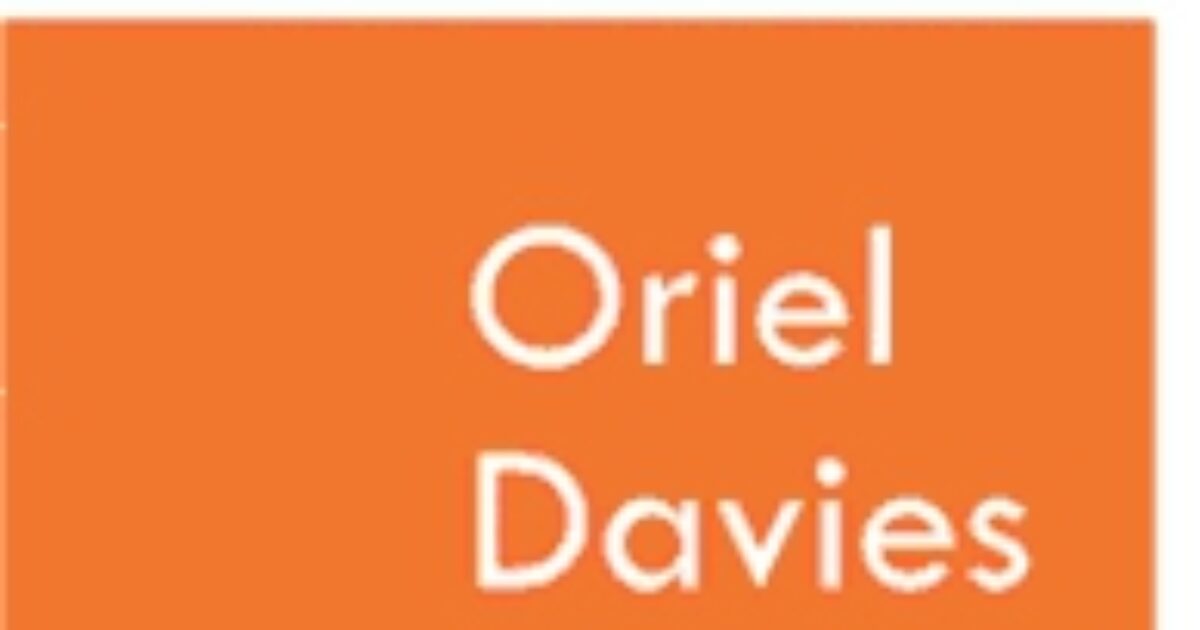 Login | Oriel Davies Gallery