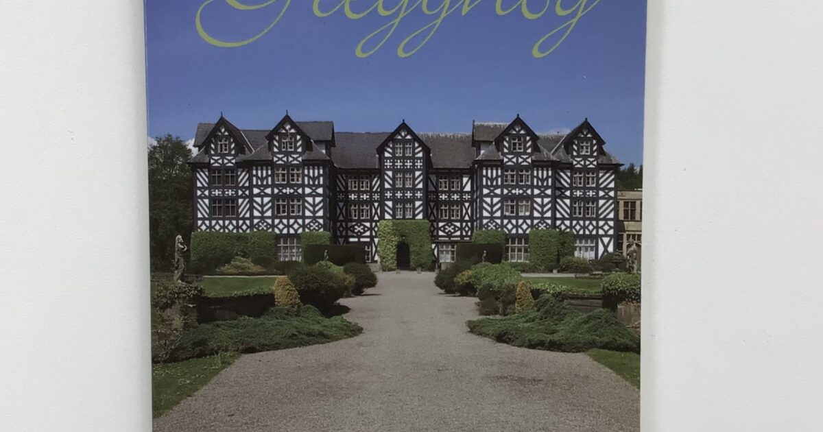 The Ladies of Gregynog | Oriel Davies Gallery